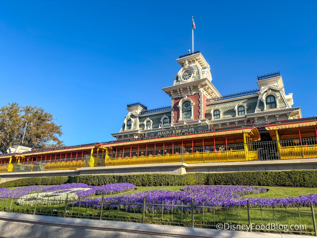 The Only Shoes You’ll Ever Need for Disney World — and Why I Swear By ...